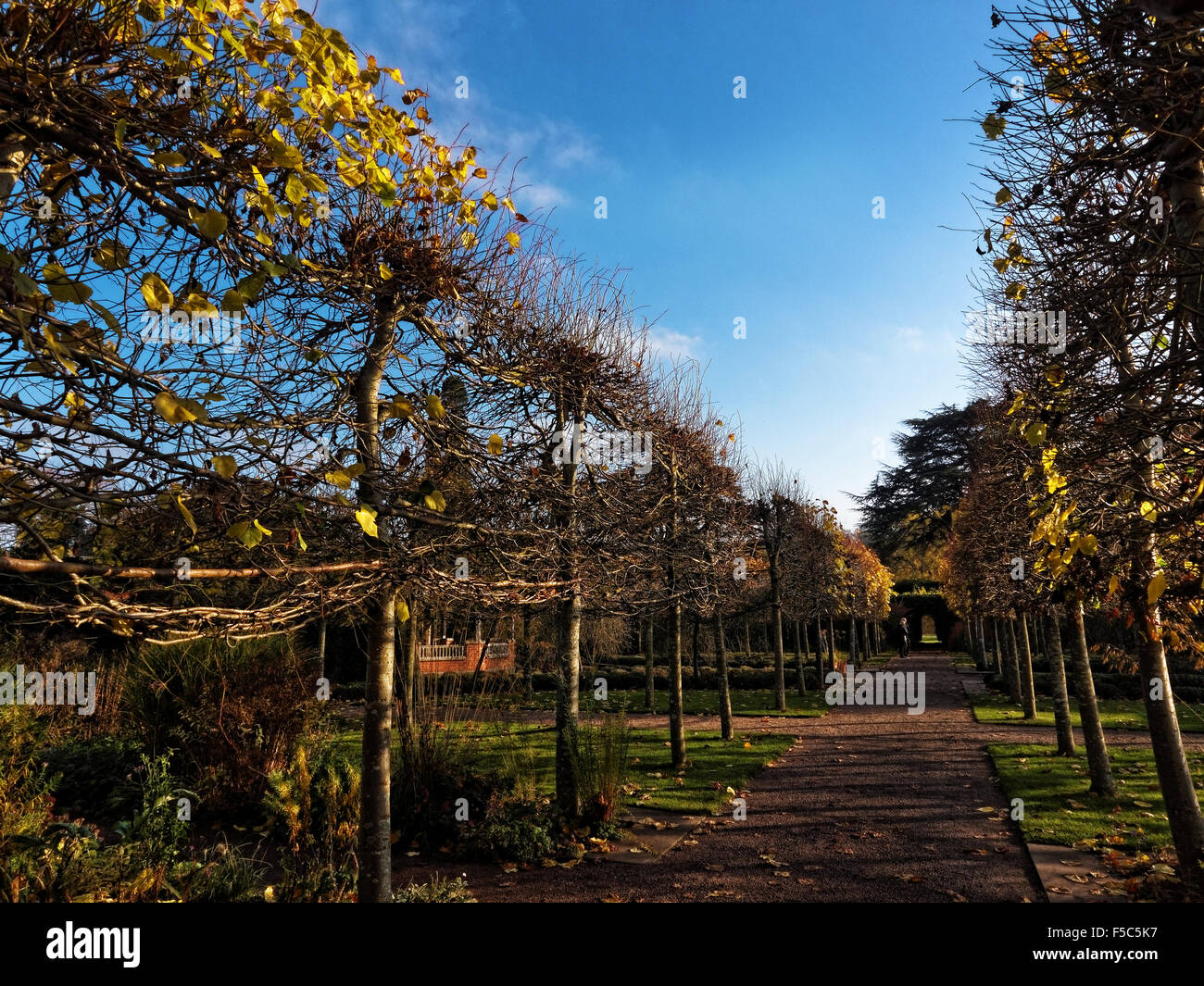 A beautiful Autumn scene at Hampton Court Castle, Gardens and Parkland ...