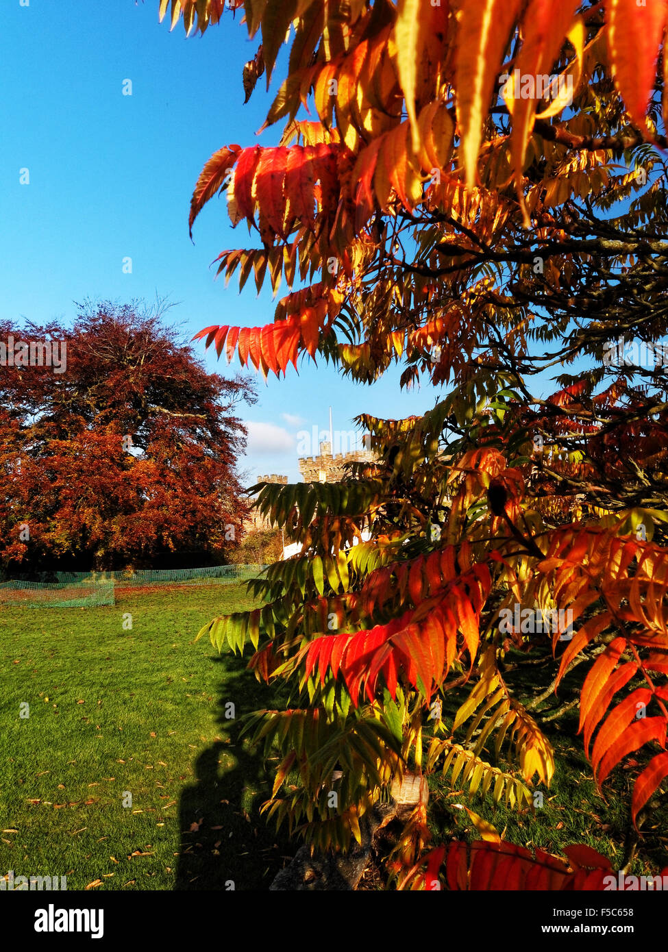 A beautiful Autumn scene at Hampton Court Castle, Gardens and Parkland ...