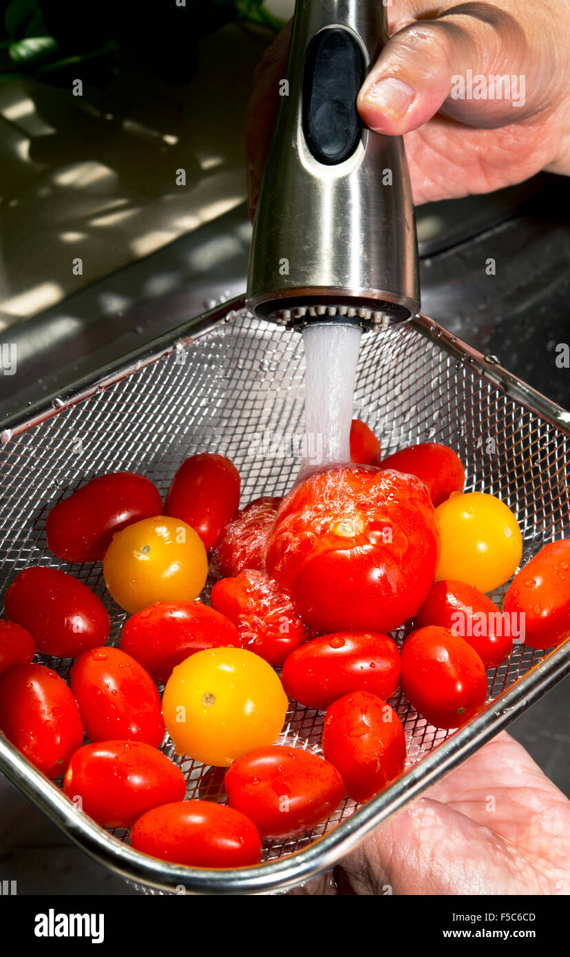 Washing fresh juicy tomatoes in the sink Stock Photo - Alamy