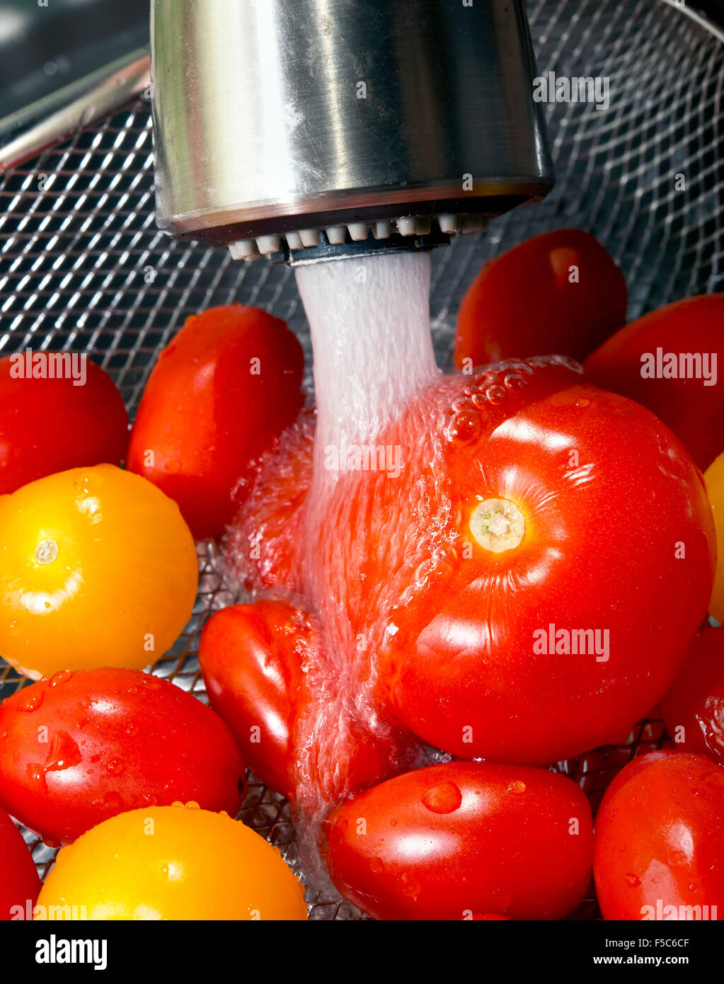 Washing fresh juicy tomatoes in the sink Stock Photo - Alamy