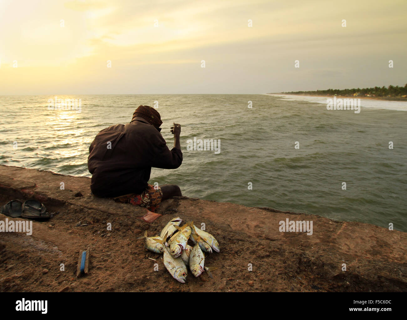 A fisher man catching fish from sea Stock Photo - Alamy