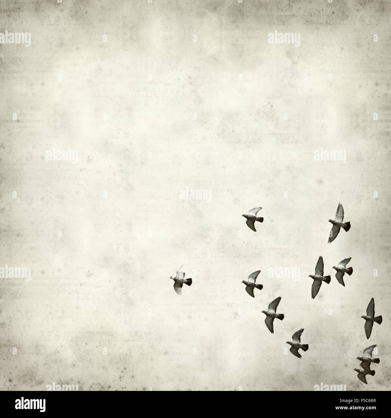 Old flock wallpaper hi-res stock photography and images - Alamy