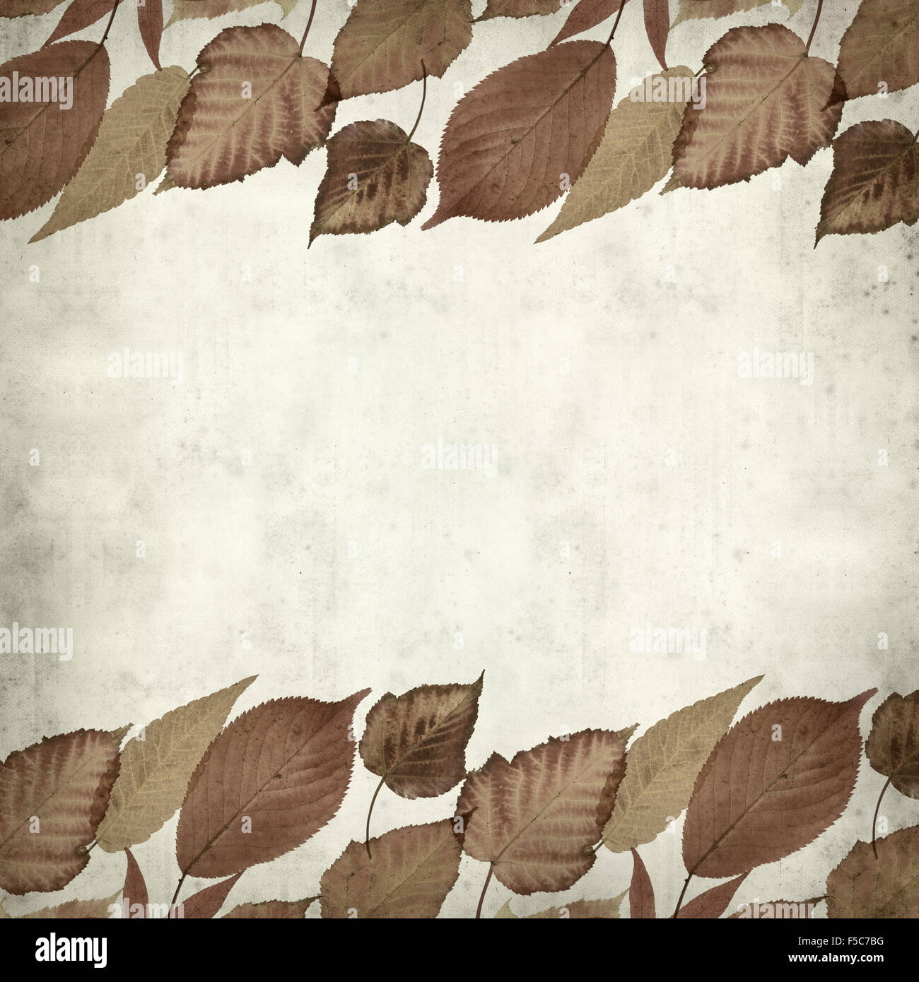 textured old paper background with autumnal leaves Stock Photo - Alamy