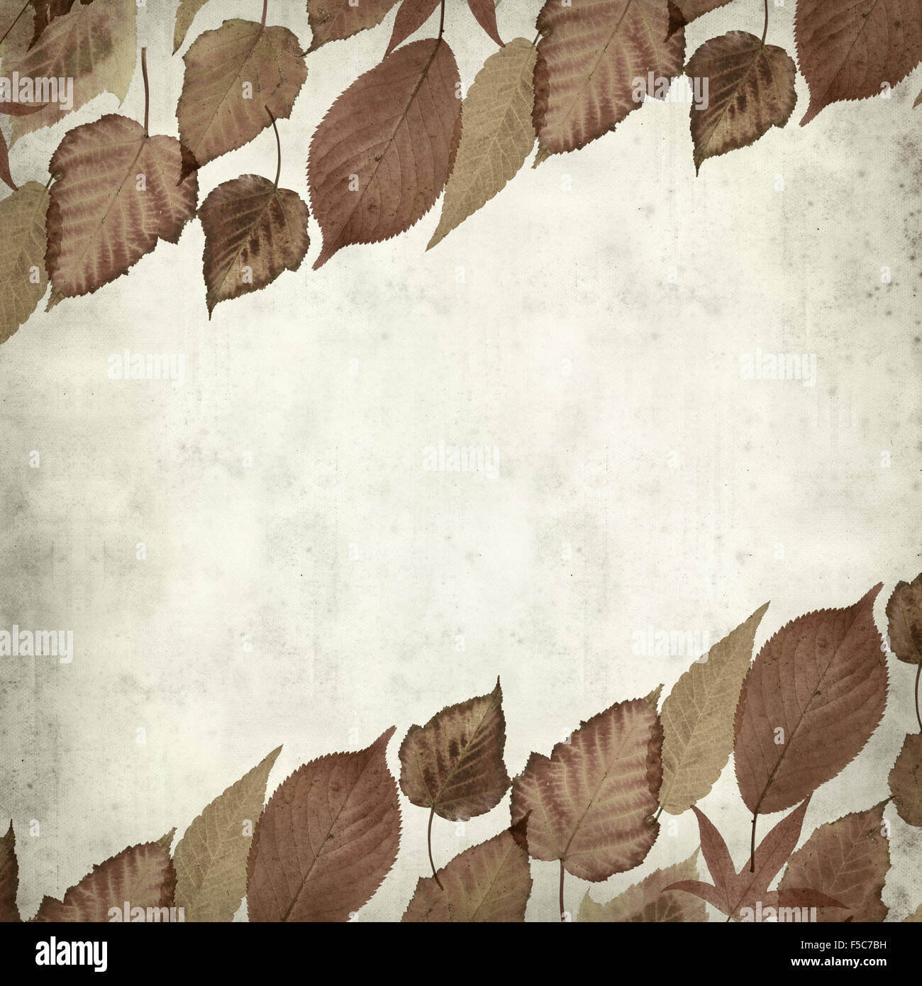 textured old paper background with autumnal leaves Stock Photo - Alamy