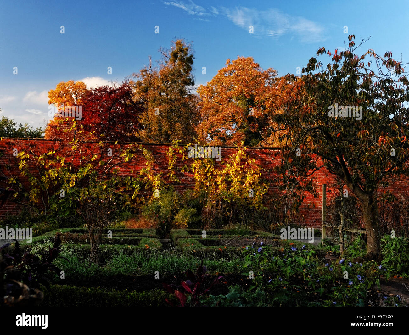 A beautiful Autumn scene at Hampton Court Castle, Gardens and Parkland ...