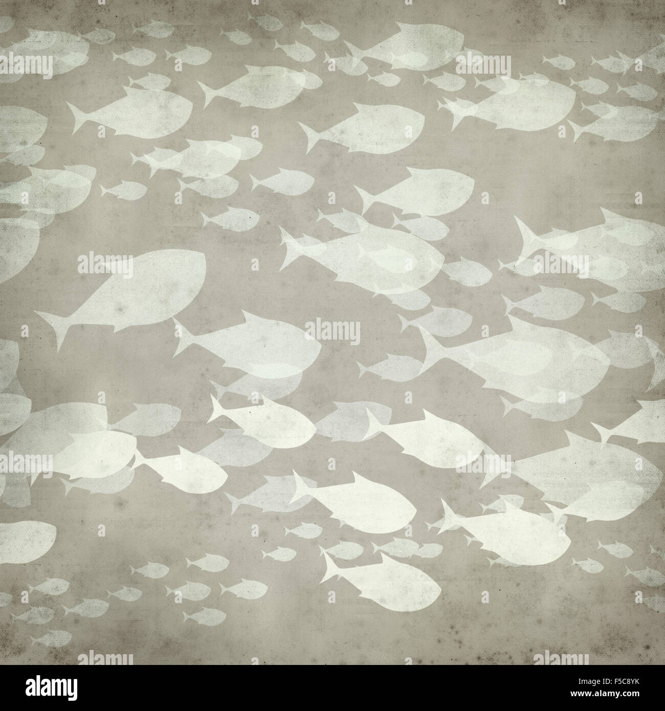 textured old paper background with many swimming fish Stock Photo - Alamy