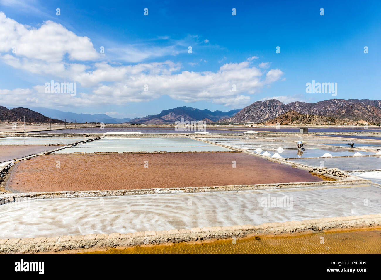 Salt fields in Ninh Thuan, Central Vietnam Stock Photo - Alamy