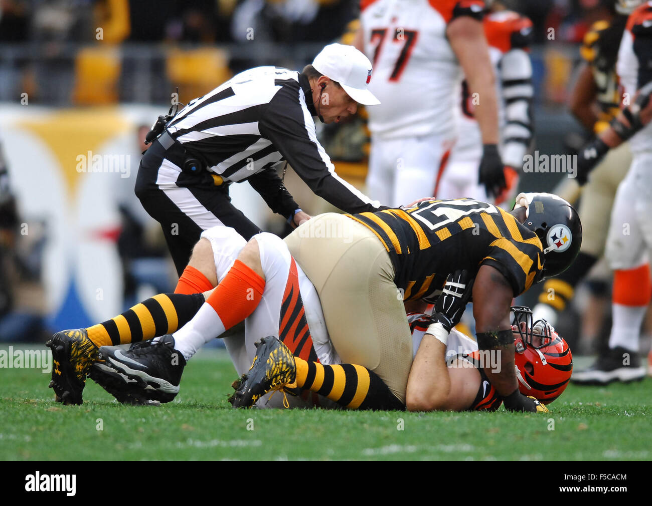 James harrison vs cincinnati 2015 hi-res stock photography and images ...