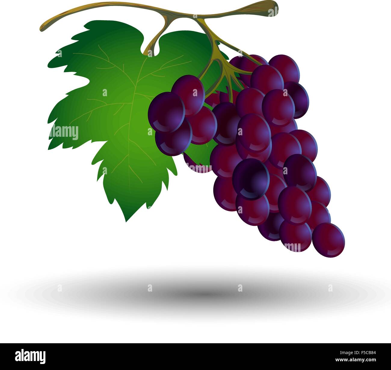 Bunch of grapes Stock Vector Images - Alamy