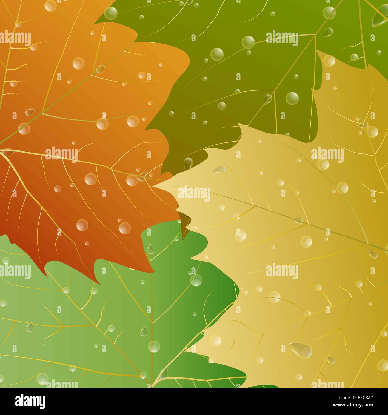 Abstract autumn leaves with drops of rain Stock Vector Image & Art - Alamy