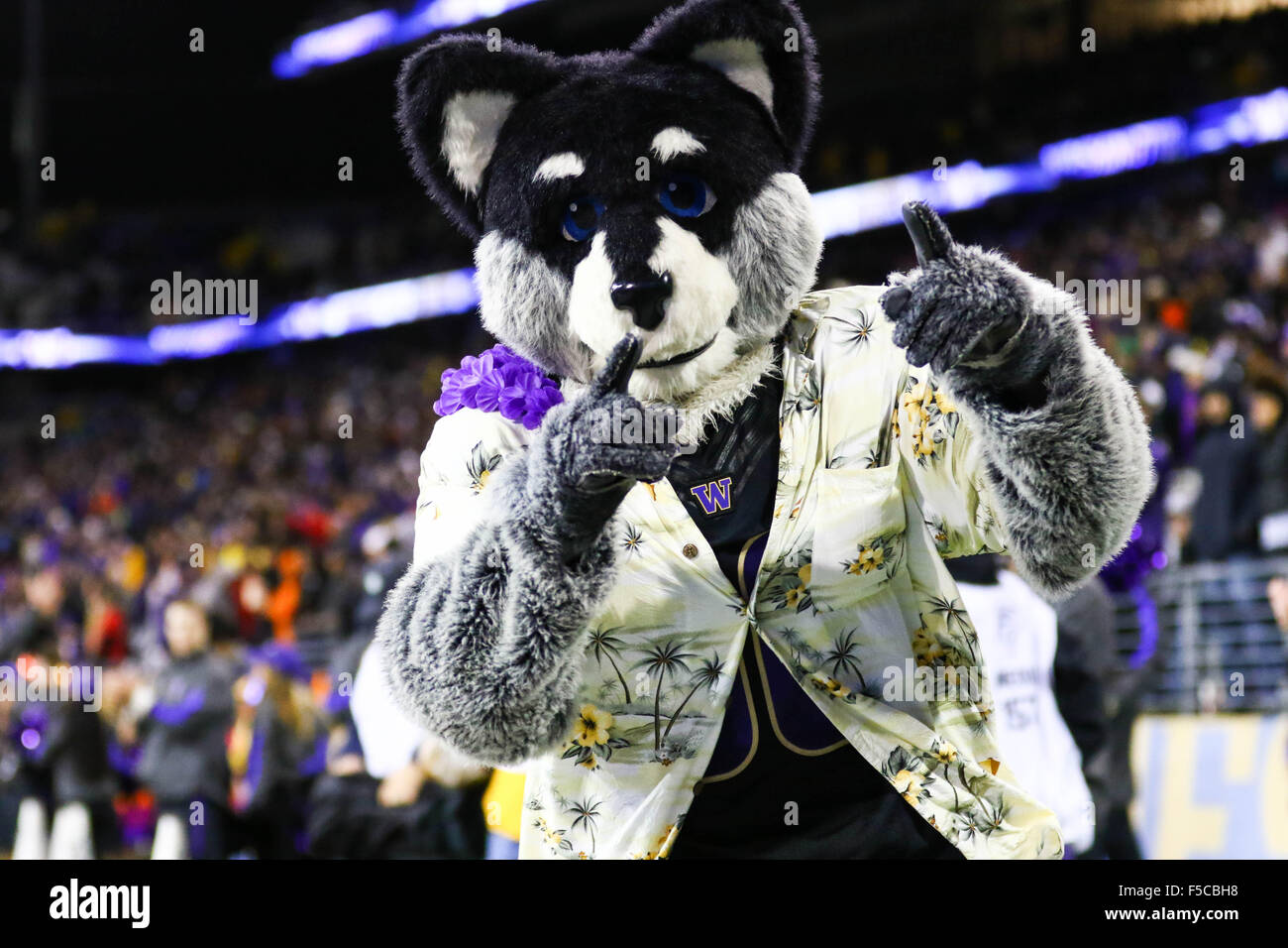 October 31, 2015: Harry the Husky, Washington's mascot, celebrates ...