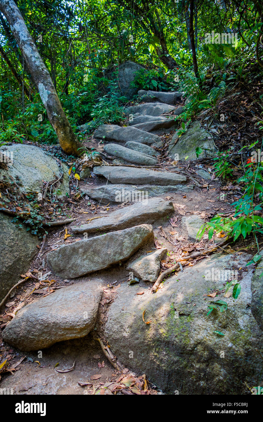 Steps accessing village of Kogi people, indigenous ethnic group ...
