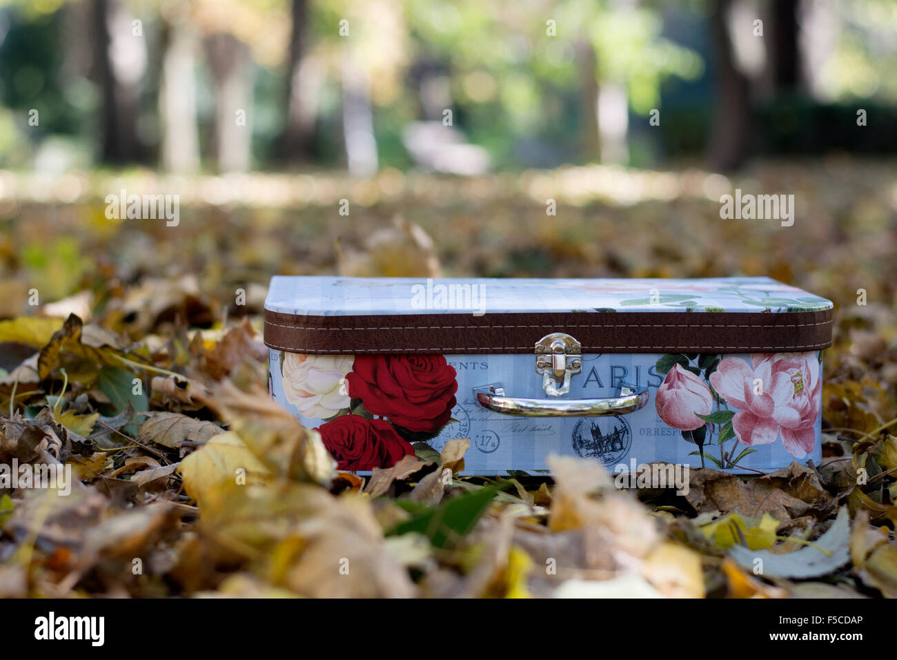 Colorful vintage suitcase for little girls standing among fallen autumn ...