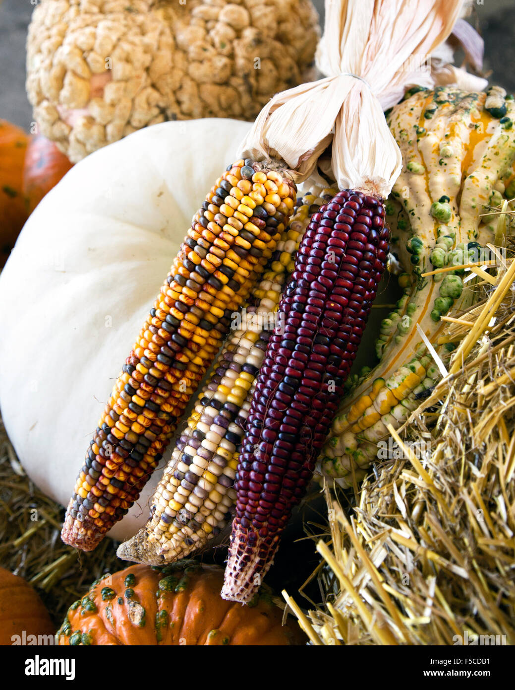 Harvest indian hi-res stock photography and images - Alamy