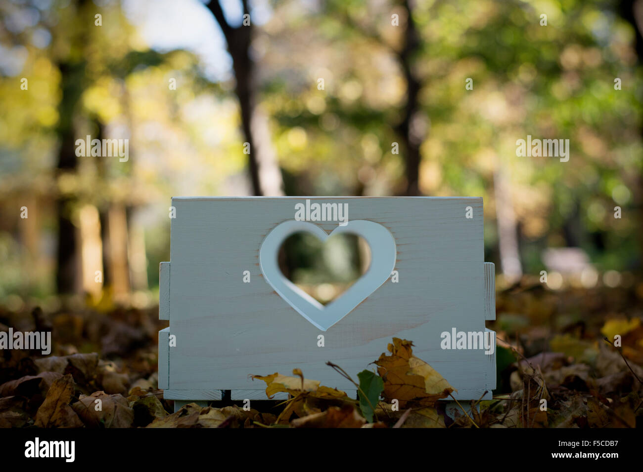 Beautiful baby bed in autumn leaves on the ground in woods Stock Photo ...