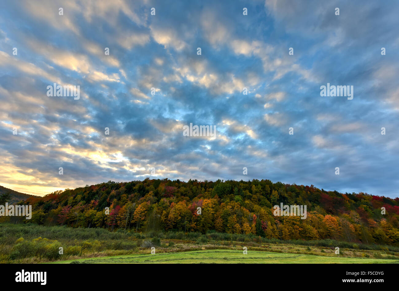 Peak fall foliage in Vermont against a dramatic sky Stock Photo - Alamy
