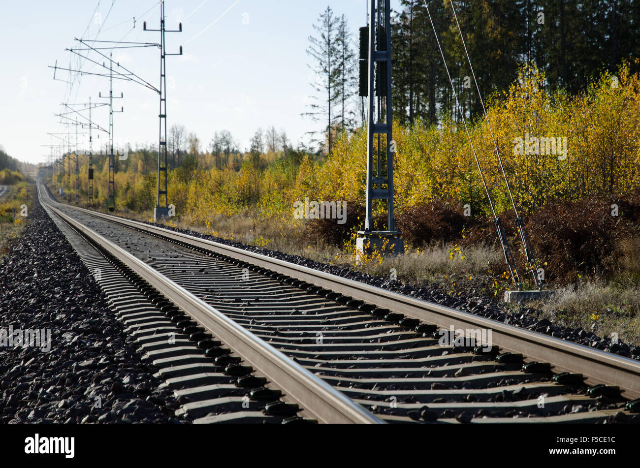 Railroad tracks closeup in a colored landscape at fall Stock Photo - Alamy