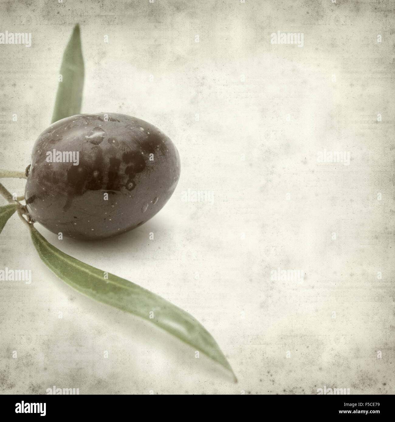 Reddish olive hi-res stock photography and images - Alamy