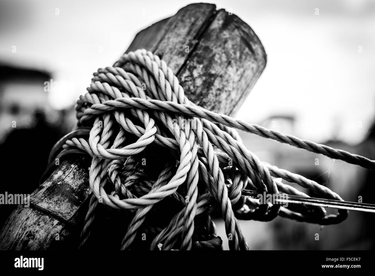 Rope on bamboo Stock Photo - Alamy