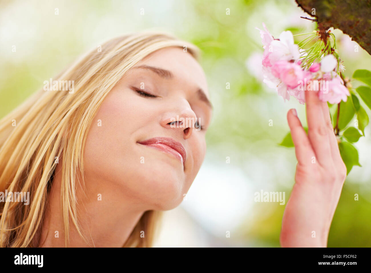 Young woman smelling the blossoms on a cherry tree Stock Photo - Alamy