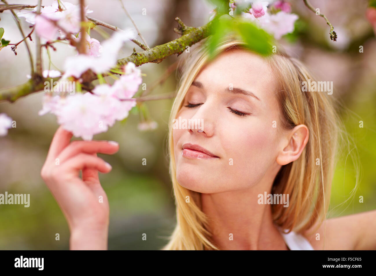 Young woman smelling the blossoms on a cherry tree Stock Photo - Alamy