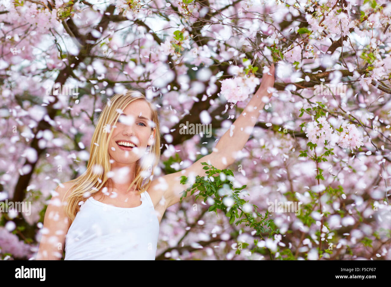 Young woman shaking a branch of a cherry tree Stock Photo - Alamy