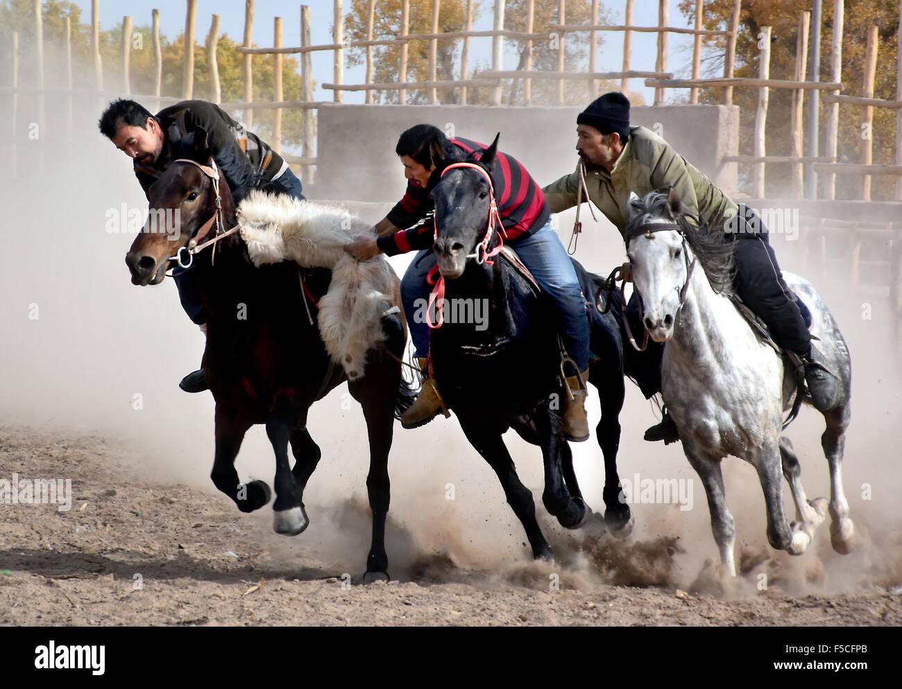 Goat Grabbing High Resolution Stock Photography and Images - Alamy