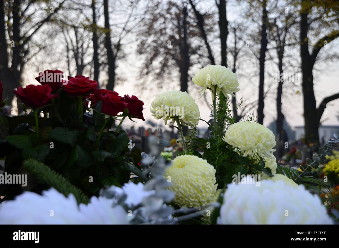 Hand beautiful yellow roses hi-res stock photography and images - Alamy