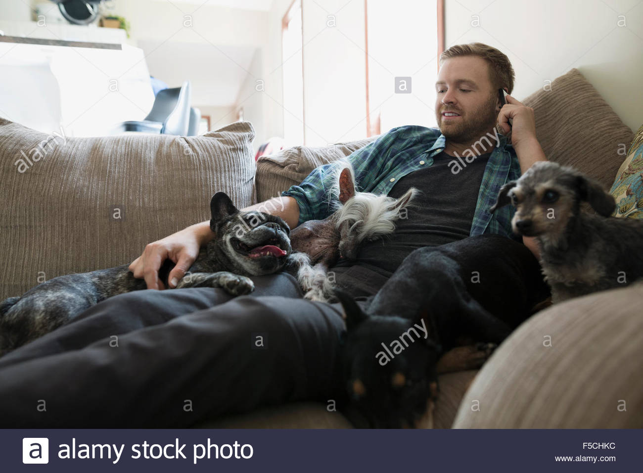 Cuddling with dog hi-res stock photography and images - Alamy