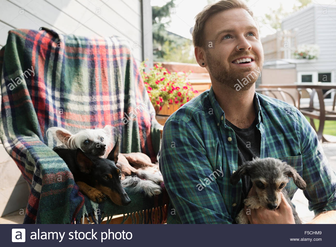 Smiling man with dogs on patio Stock Photo - Alamy