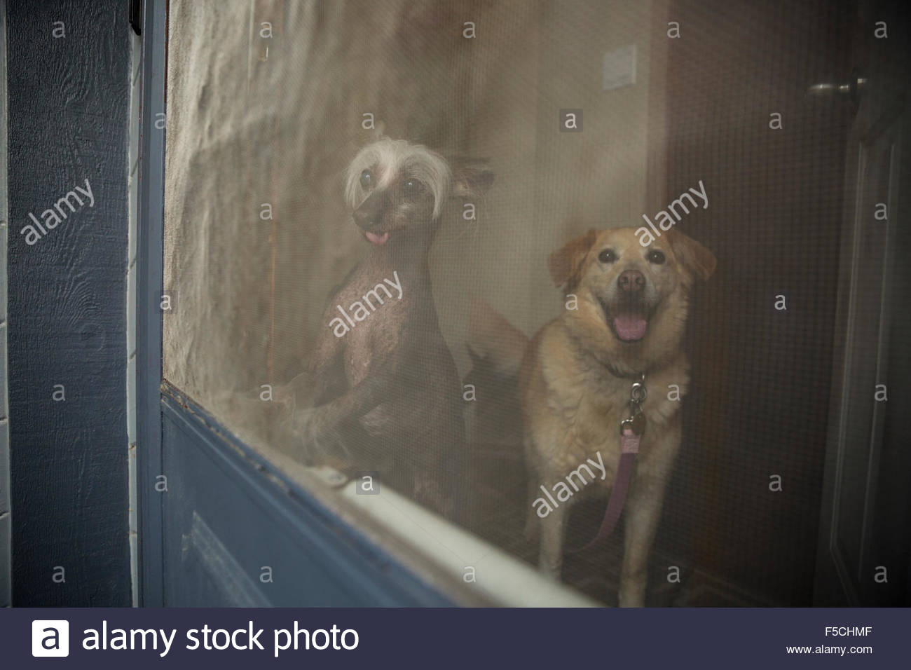 Screen door hi-res stock photography and images - Alamy