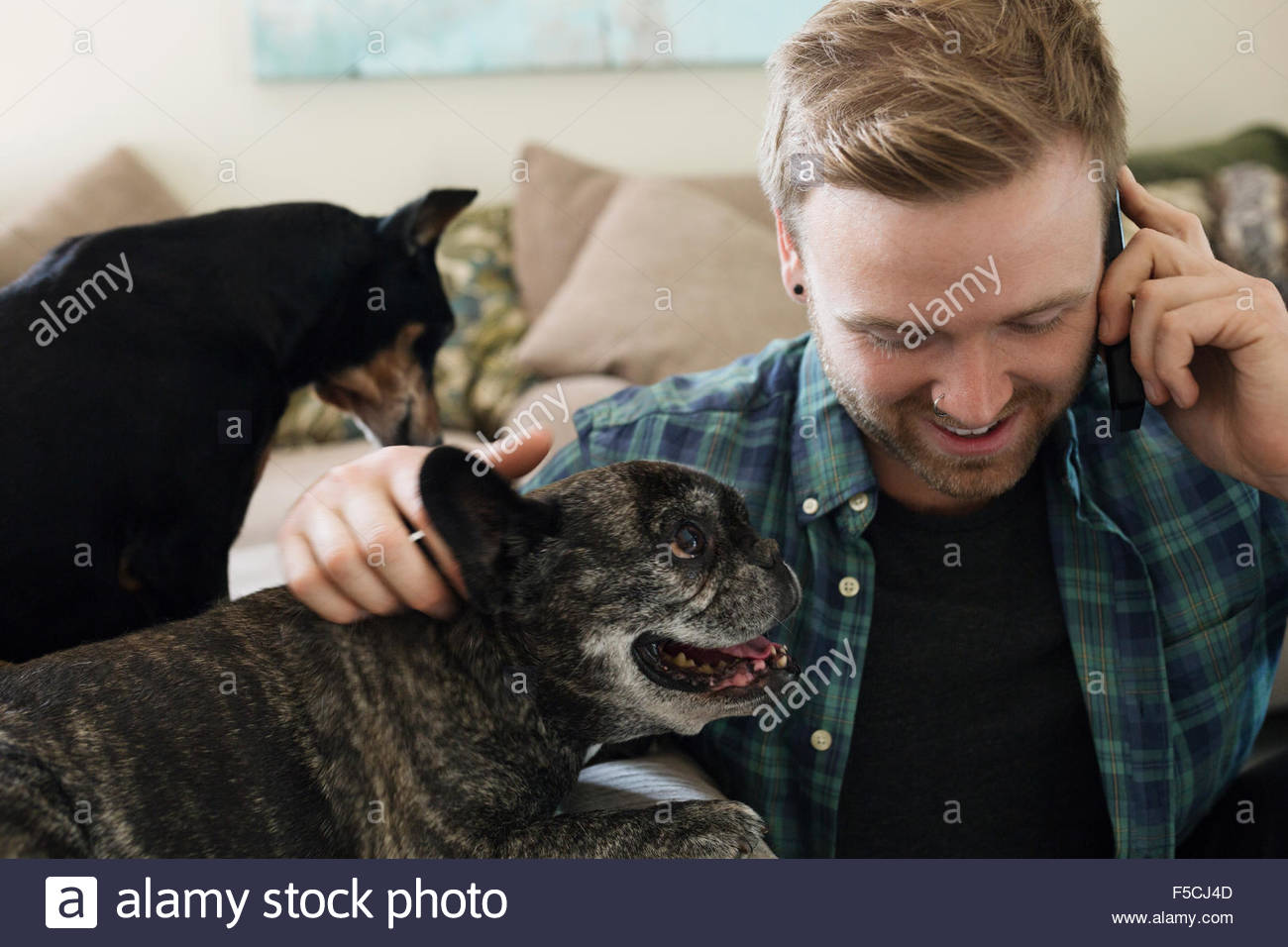 Talking animals hi-res stock photography and images - Alamy