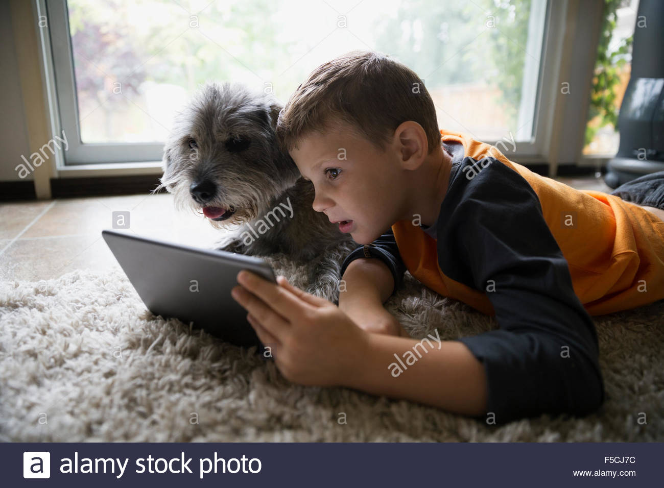 Boy and dog hi-res stock photography and images - Alamy