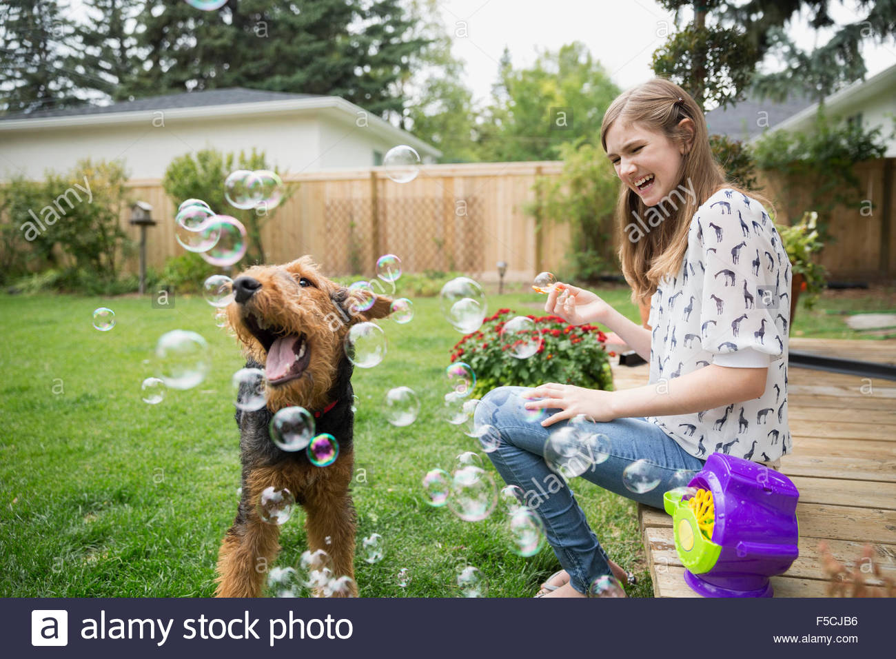 Curious dog playing with bubbles in backyard Stock Photo - Alamy