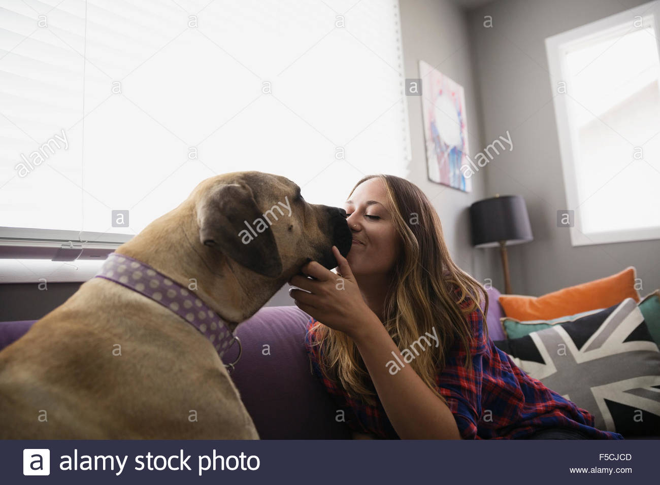Dog kissing face hi-res stock photography and images - Alamy