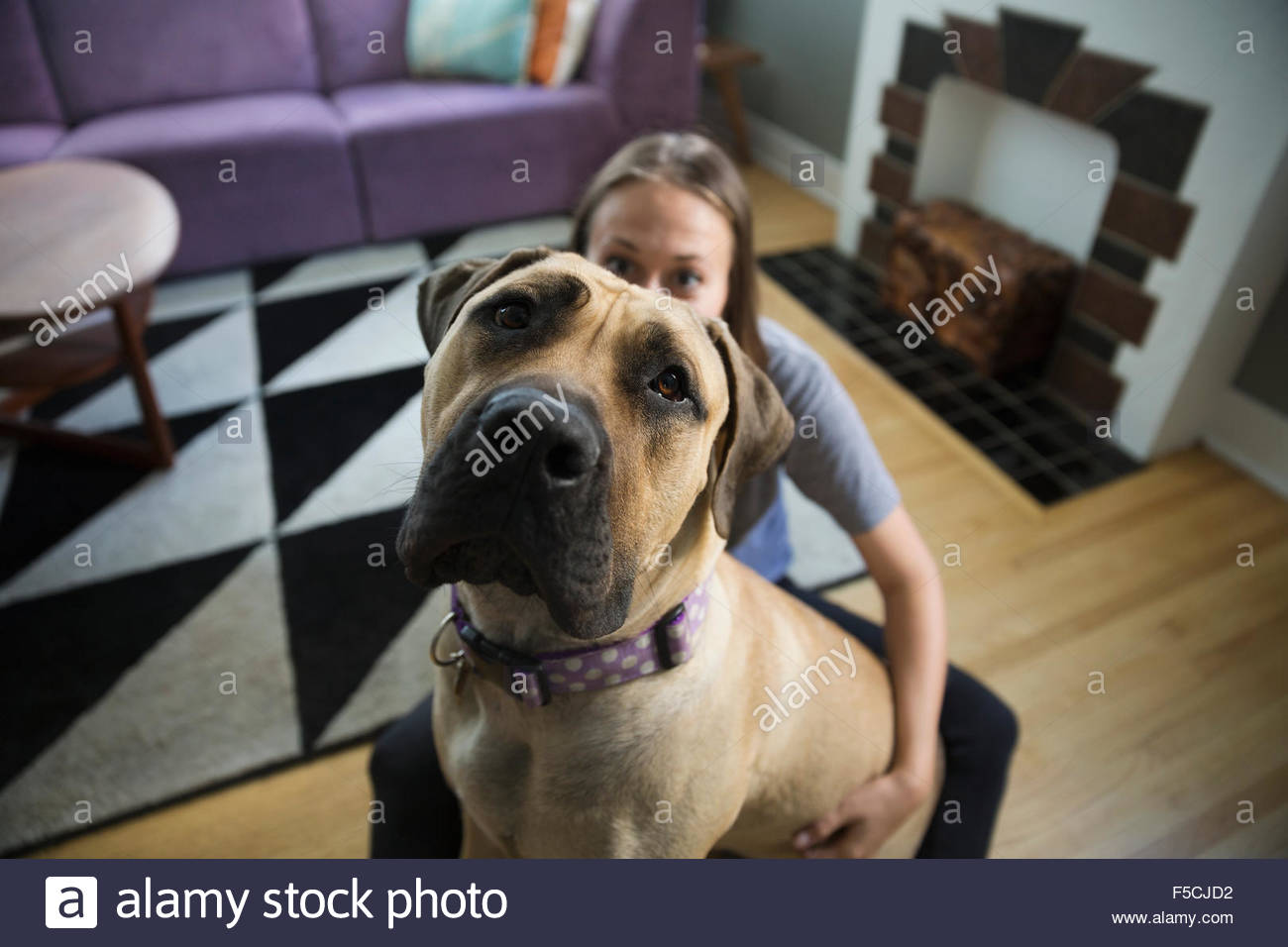 Sniffing room hi-res stock photography and images - Alamy
