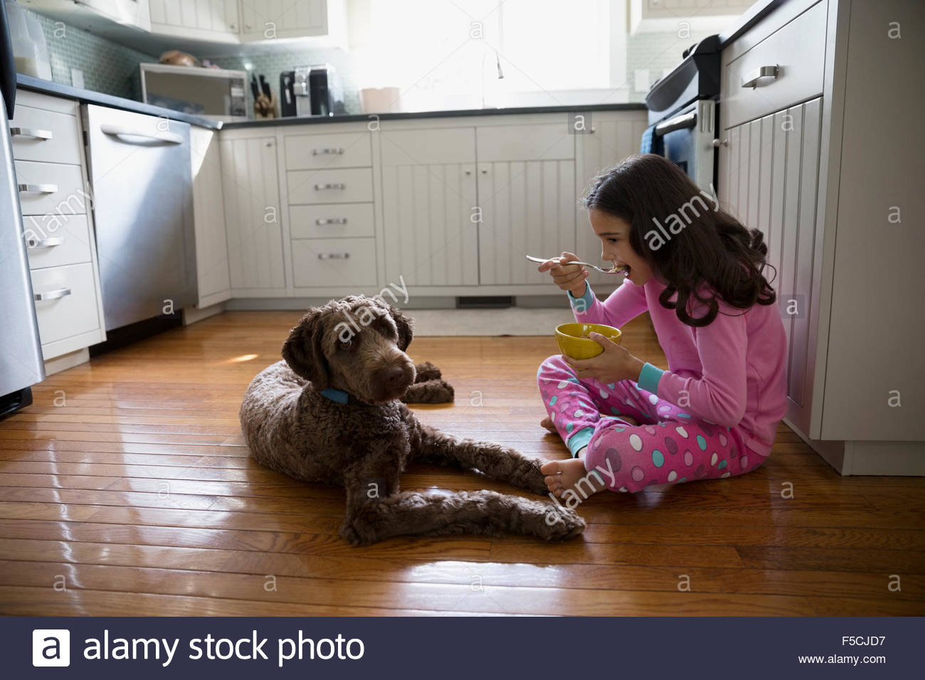 Dog holding bowl hi-res stock photography and images - Alamy