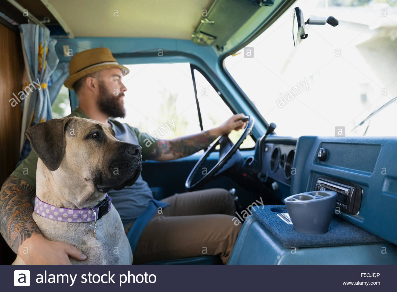 Dog riding with man in van Stock Photo - Alamy