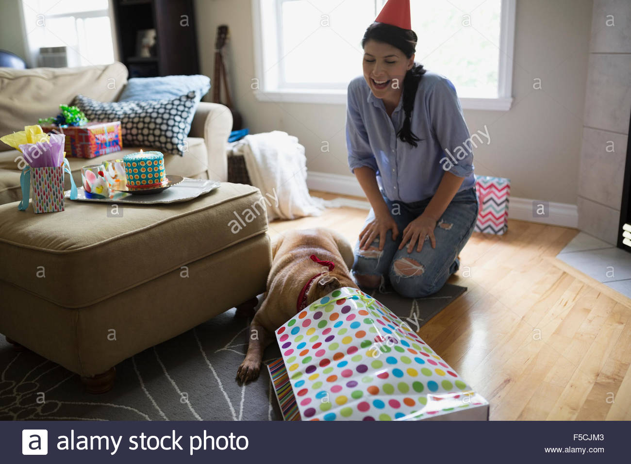 Birthday animals with gift hi-res stock photography and images - Alamy