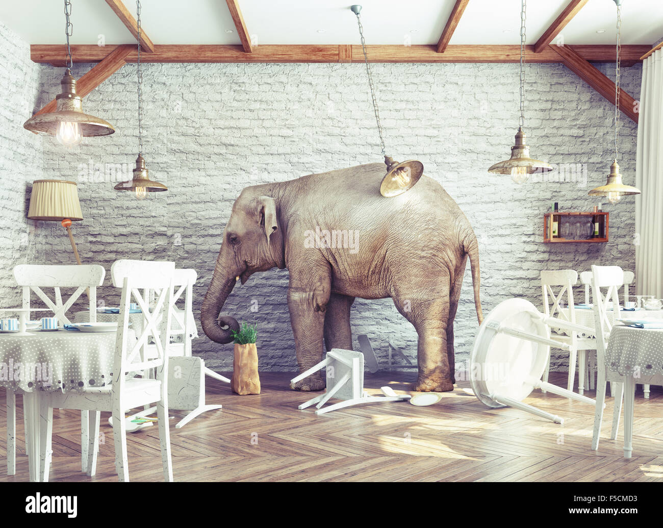 an elephant calm in a restaurant interior. photo combination concept ...