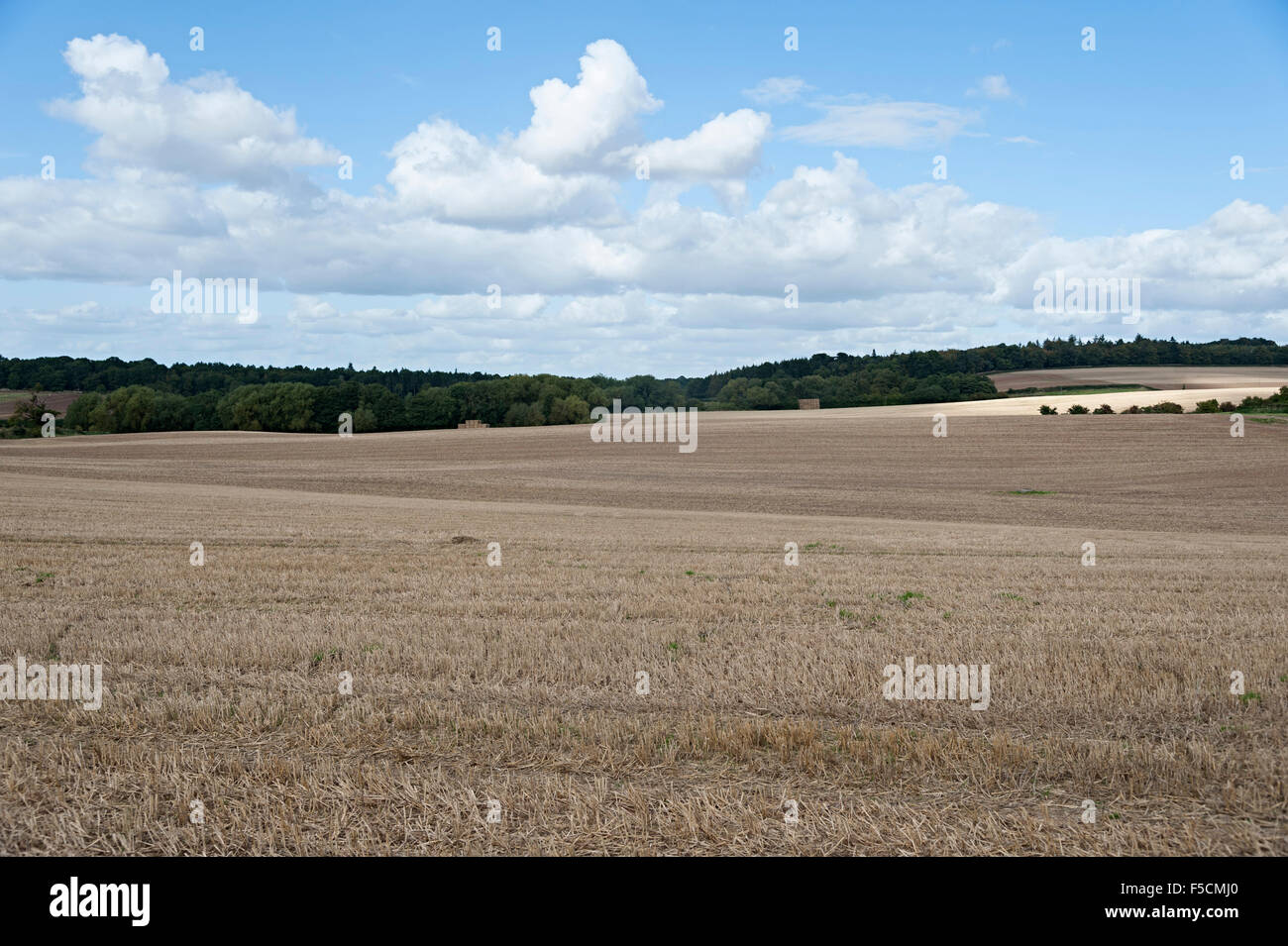 farmers field with cut straw pattingham uk Stock Photo - Alamy