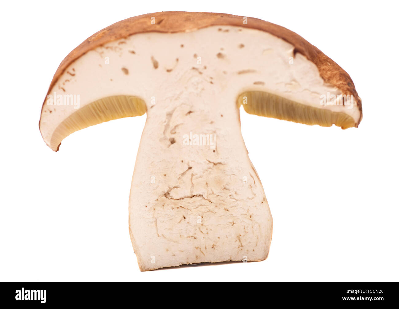 Slice of mushroom isolated on white background Stock Photo - Alamy