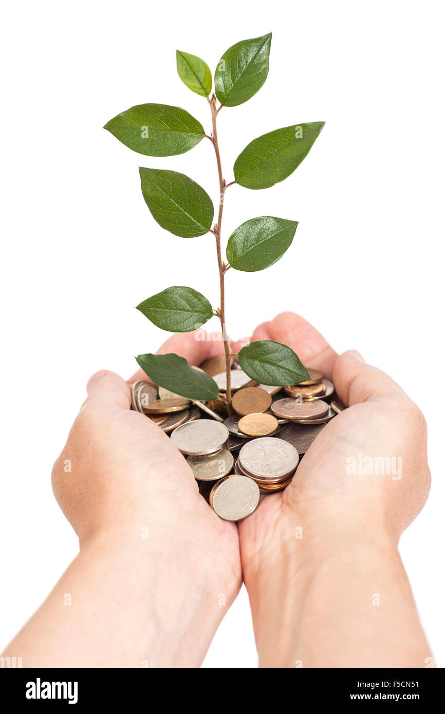 hand holding tree growing on coins .saving money Stock Photo - Alamy