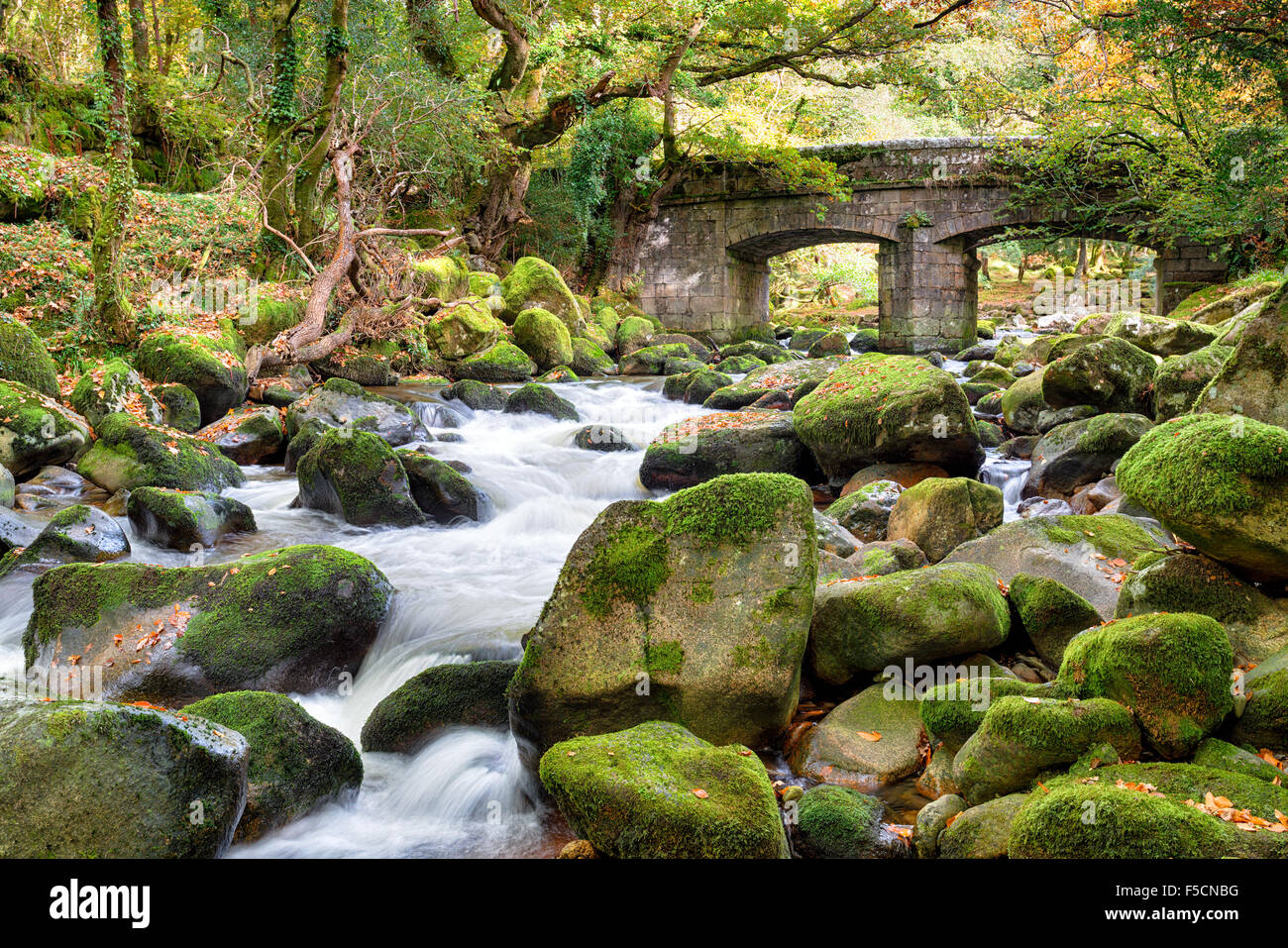 Shaugh Bridge on Dartmoor where the rivers Meavy and Plym meet Stock ...