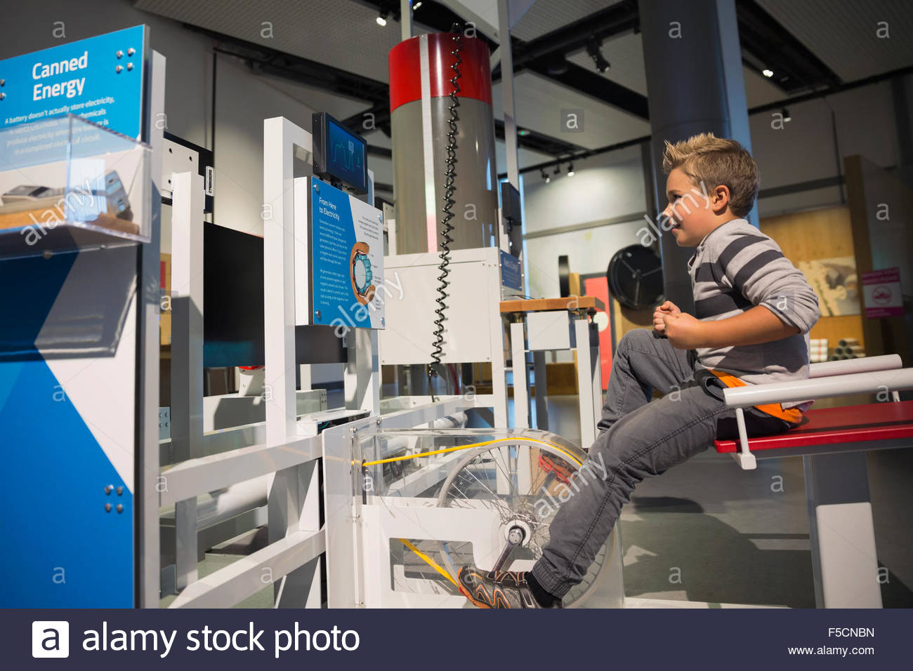 Living science center hi-res stock photography and images - Alamy