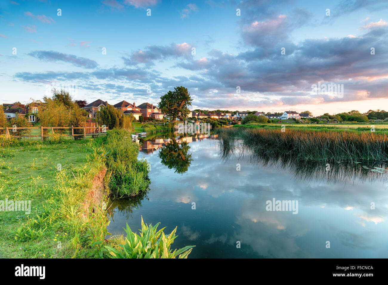 Houses along the river Stour at Wimborne in Dorset Stock Photo - Alamy