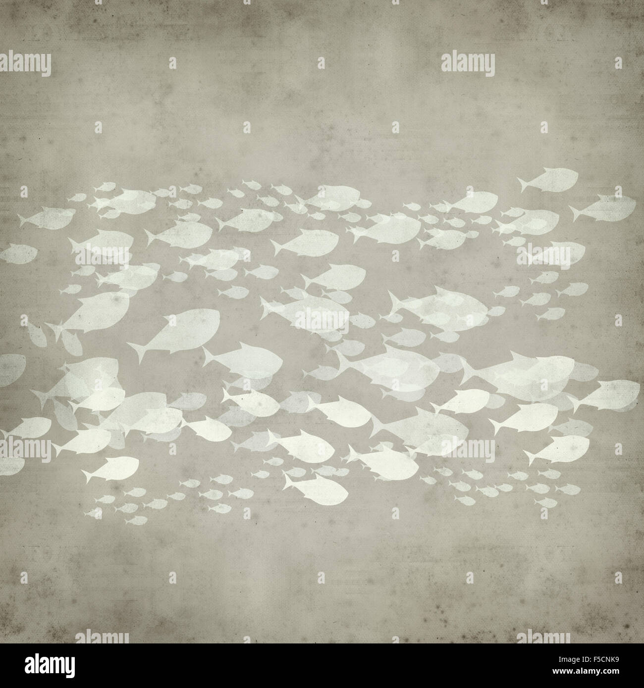 textured old paper background with many swimming fish Stock Photo - Alamy