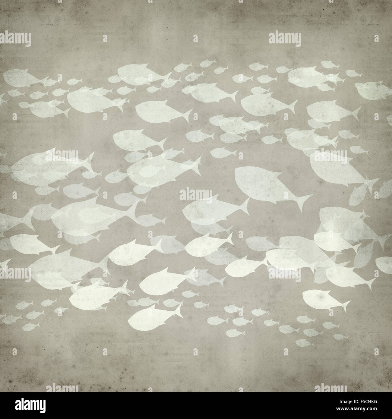 textured old paper background with many swimming fish Stock Photo - Alamy