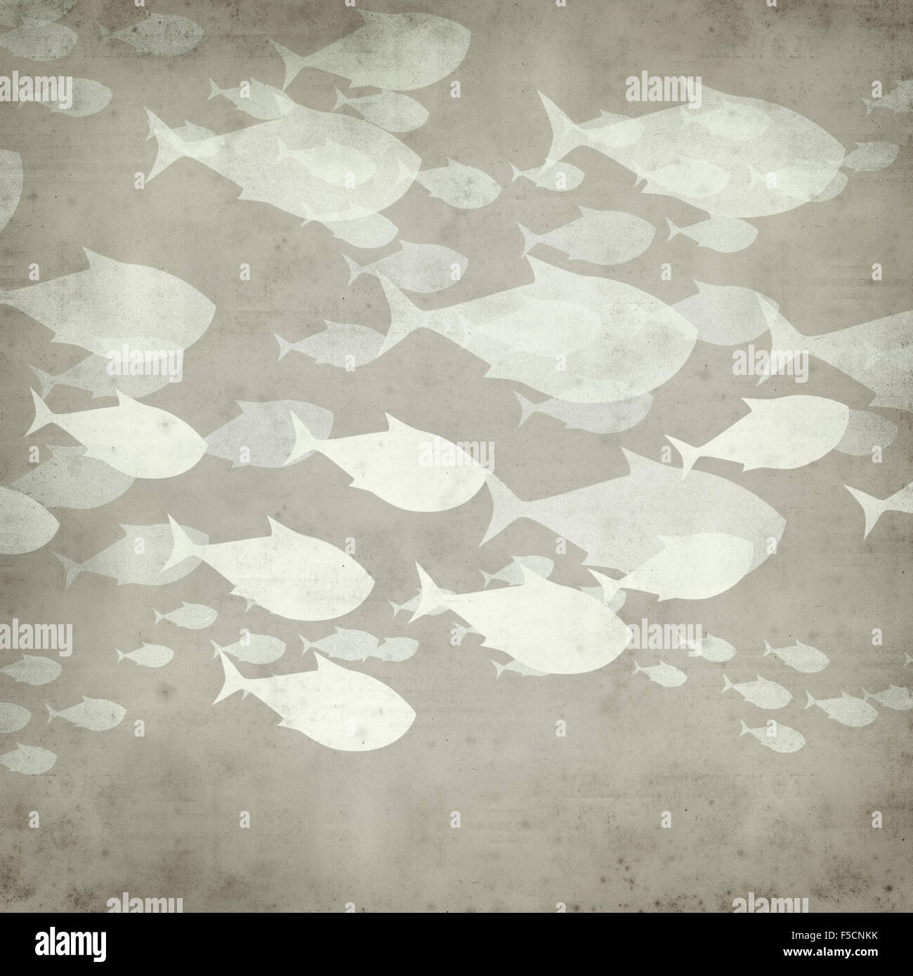 textured old paper background with many swimming fish Stock Photo - Alamy