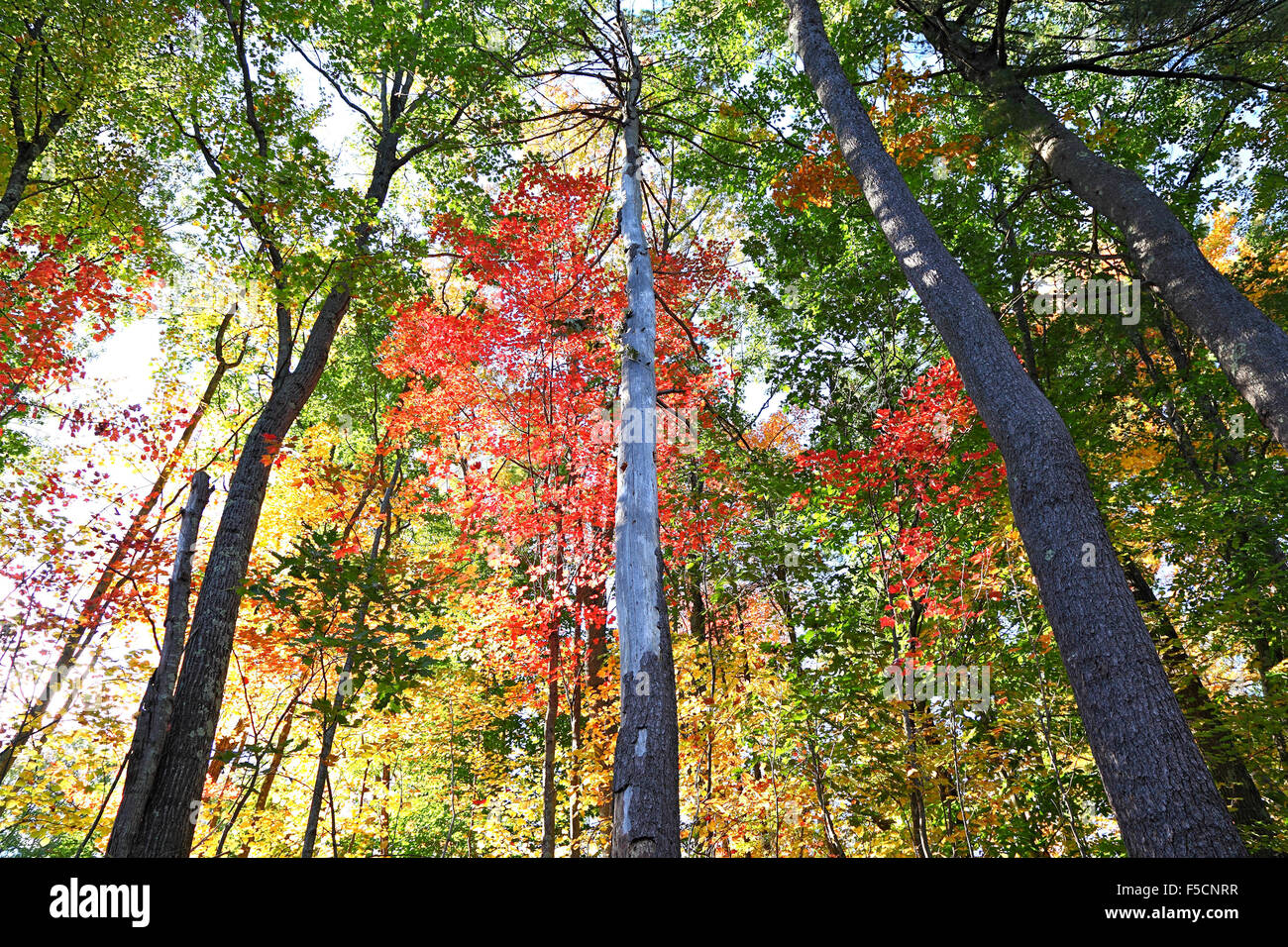 Fall landscap hi-res stock photography and images - Alamy